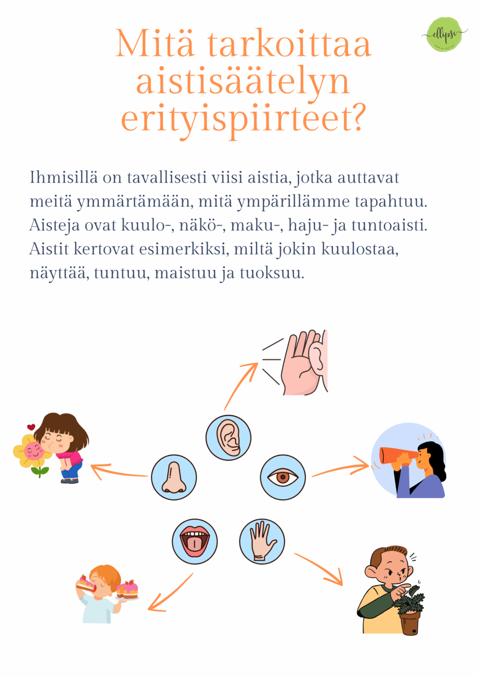 Aistisäätelyn erityispiirteiden psykoedukaatio | Ellipsi